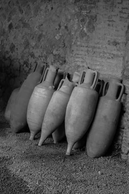 ERCOLANO: ENTRANCE TICKET - SKIP THE LINE WITH OPTIONAL TRANSFER - Introduction: Why Consider a Skip-the-Line Ticket for Ercolano