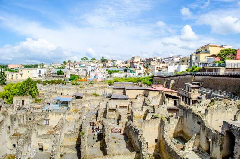 Ercolano: Herculaneum Entry Ticket with Optional Audio Guide - Key Points