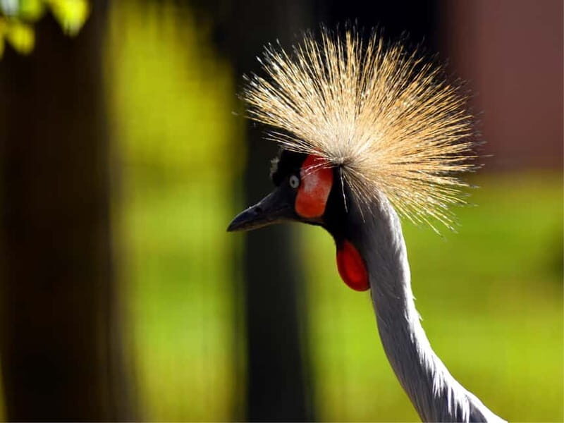 Erfurt: Erfurt Zoo Entry Ticket - Key Points