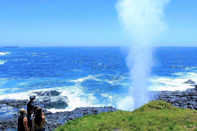 Erupting Blowholes and Ancient Rainforests SOUTH COAST OF SYDNEY PRIVATE TOUR - Who Is This Tour Best For?