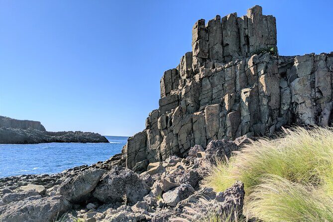 Erupting Blowholes and Ancient Rainforests SOUTH COAST OF SYDNEY PRIVATE TOUR - Final Thoughts: An Authentic, Scenic Journey for Curious Travelers