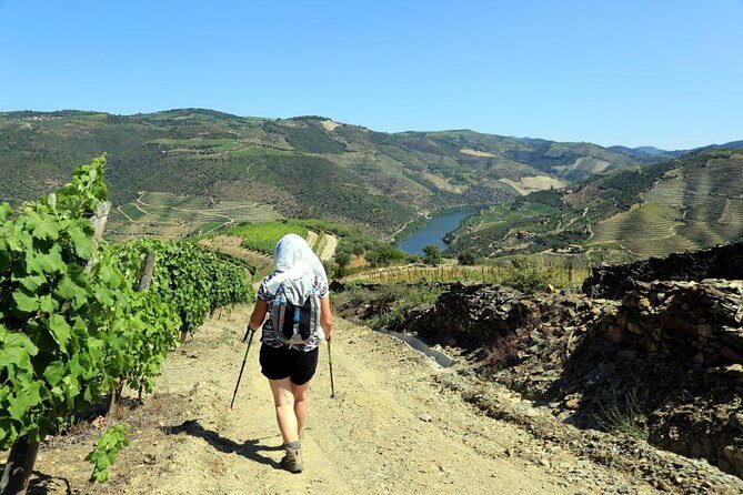 Ervedosa do Douro Walking Tour - What to Expect from the Ervedosa do Douro Walking Tour