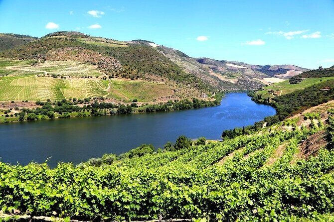 Ervedosa do Douro Walking Tour - Practical Details and Tips