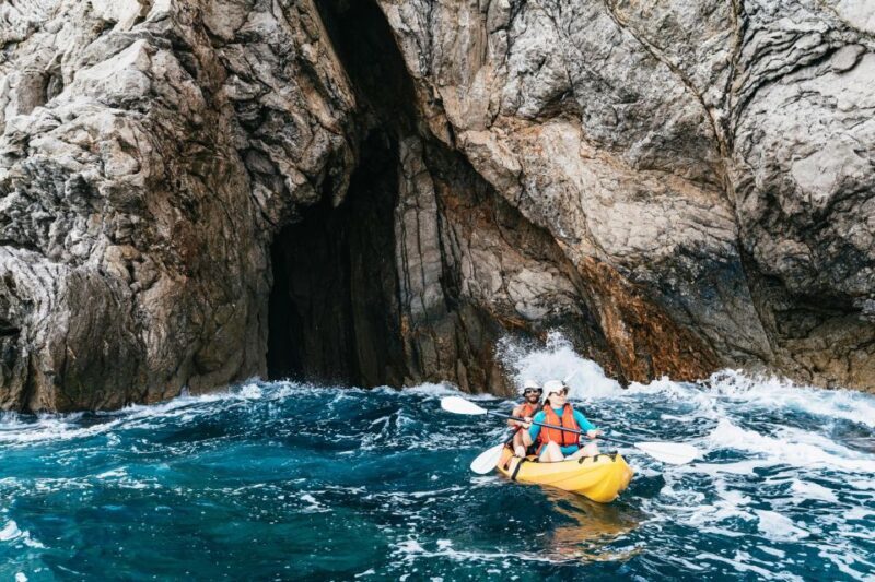 Es Figueral: Guided Kayaking and Snorkeling Tour - Who Will Love This Tour?