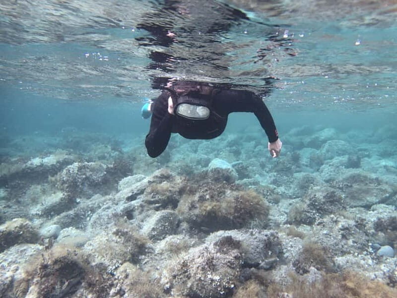 Es Grau:Private Snorkeling Experience with Picnic and Drinks - Getting to Know the Experience: What You Can Expect
