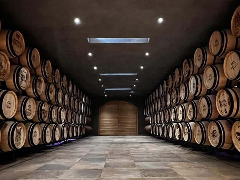 Escape from Geneva Wine Tasting Aperitif, Castle By E-bike - Key Points
