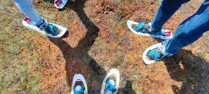 Escape from Tallinn  Hike, Swim, Forage & Cuddle Sled Dogs - Authentic Experiences & Genuine Value