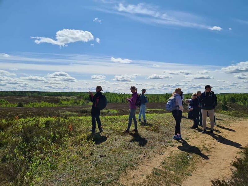 Escape from Tallinn  Hike, Swim, Forage & Cuddle Sled Dogs - Final Thoughts