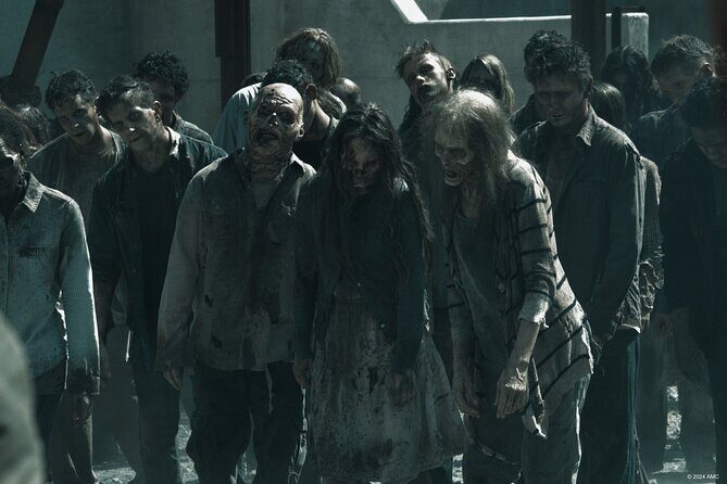 Escape Game outdoor The Walking Dead in Lyon - Key Points