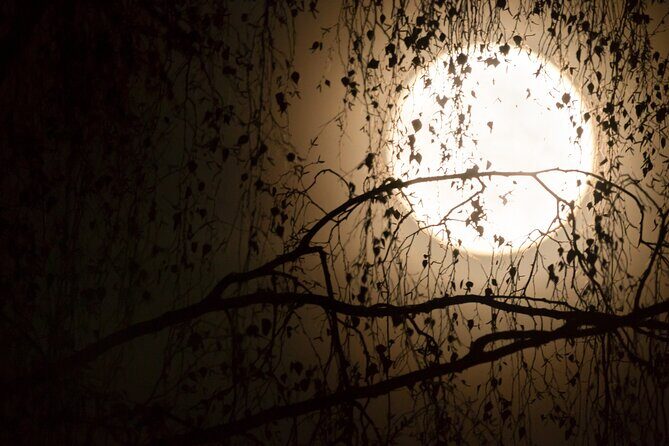 Escape Game Team Theme Magic in Porto - An In-Depth Look at this Outdoor Mystery Experience