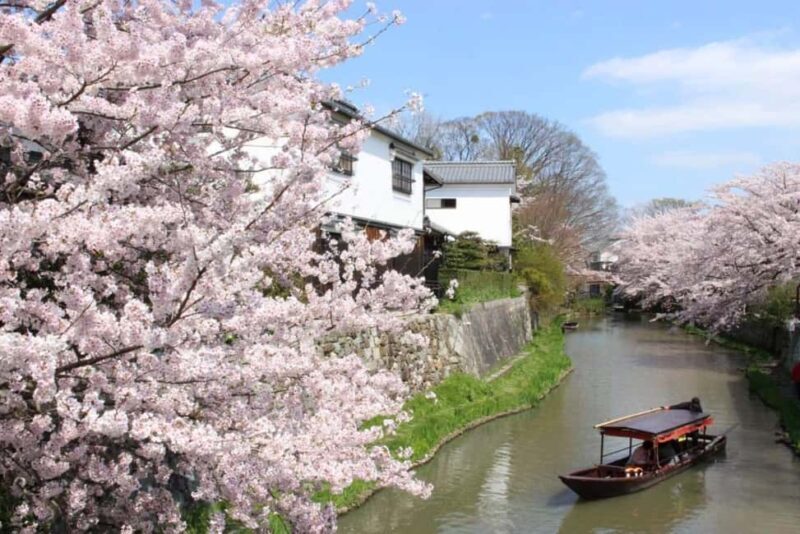 Escape Kyotos Crowds to Tranquil Hachiman Canals and Nature - Key Points