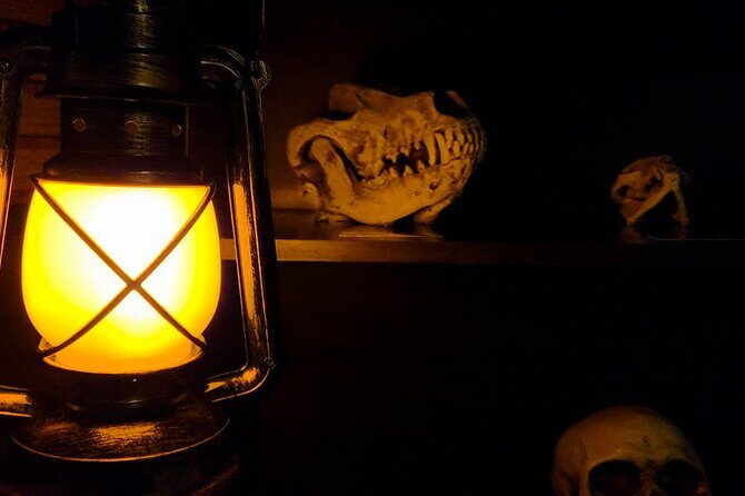 Escape Room Experience Taupo - The Cursed Cabin - Who Will Love This Experience?