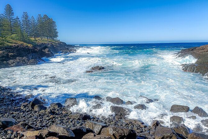 Escape Sydney: Sea Cliff Bridge, Wildlife, Kiama Coast Private - Who Would Love This Tour?