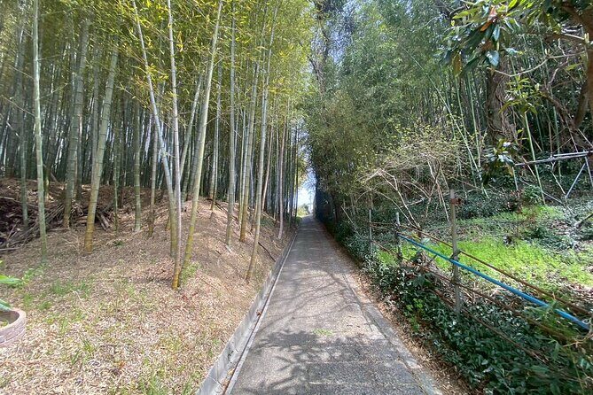 Escape the City Tea, Calligraphy and Tea Fields in Rural Kyoto - An Authentic Taste of Kyoto’s Rural Traditions