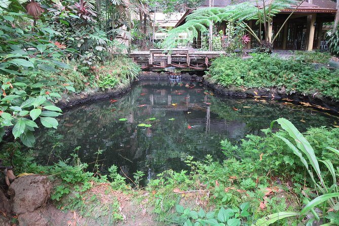 Escape to Enchanting Hidden Valley Springs! with Transfers*** - FAQ