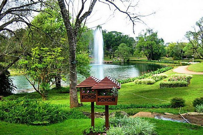 Escaping into Nature: Pyin Oo Lwin & Goteik viaduct overnight trip - An In-Depth Look at the Itinerary