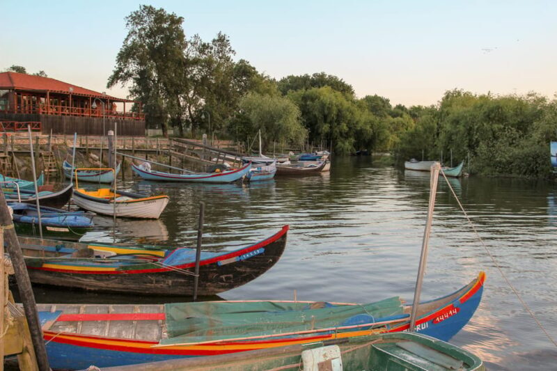 Escaroupim: 1 hour boat trip, guided tour - What Makes This Tour Special