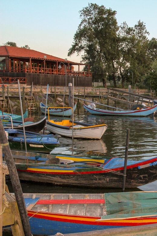 Escaroupim: 1 hour boat trip, guided tour - The Sum Up