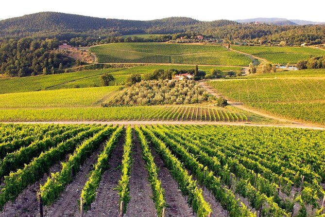Escorted Tour: Siena, San Gimignano and Chianti - Transportation, Timing, and Comfort
