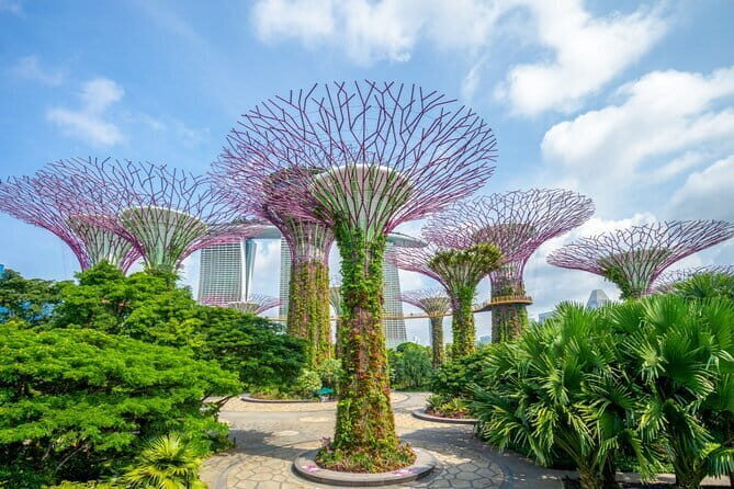 eSIM 4G/5G Data for Asia 8 Areas Singapore Thailand MY VN HK TW - Who Will Benefit Most?