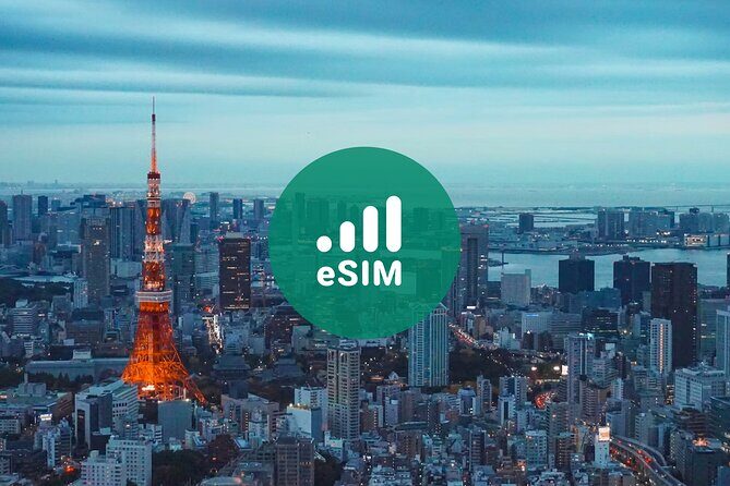 eSIM 4G/5G Data Plan for Japan via QR Code - The Sum Up: Who Should Consider This eSIM?