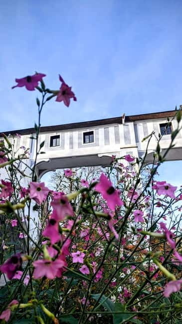 eský Krumlov: Private Day Trip from Prague with Local Guide - FAQ