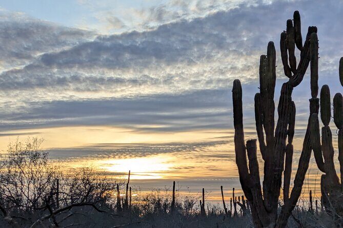 Espíritu Santo Adventure Private Tour - Exploring the Espíritu Santo Adventure Private Tour: A Detailed Review