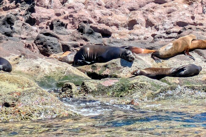 Espíritu Santo Adventure Private Tour - Who Will Love This Tour?