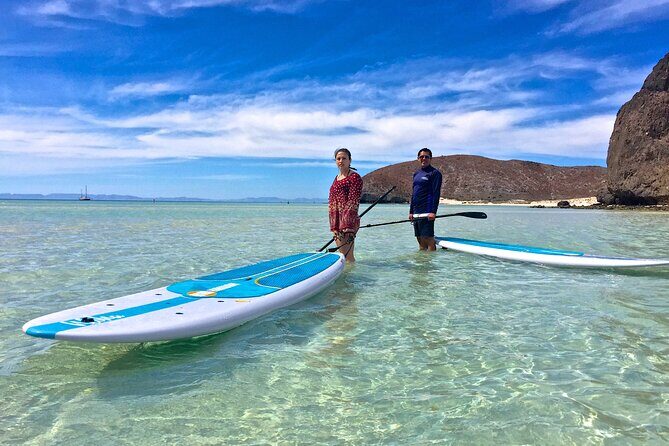 Espiritu Santo Island Combo: Sea Lions and Paddleboard 1 to 6 Private Group - FAQ