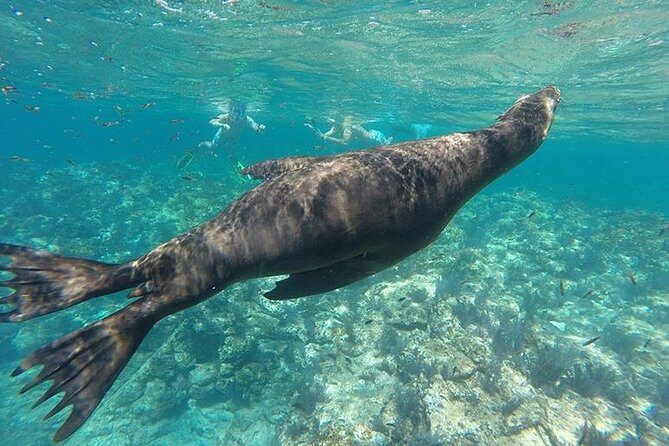 Espiritu Santo Island Day Tour - Why Choose This Tour? Key Points at a Glance