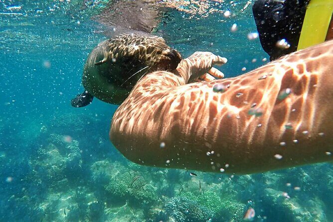 Espiritu Santo Island Day Tour - Value and Cost: Whats the Real Deal?