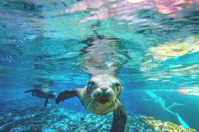 Espiritu Santo Island Day Tour - The Sum Up: Who Will Love This Tour?