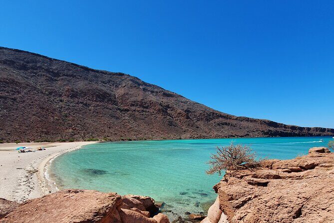 Espíritu Santo Island snorkel and sightseeing tour on Small Group - Who Will Love This Tour?