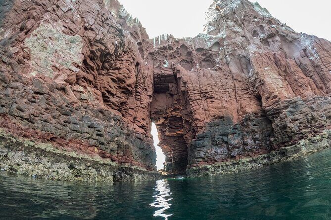 Espiritu Santo Island Snorkel & Sea Lion Adventure - The Sum Up: Who Should Book This Tour?