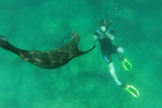 Espiritu Santo Island Snorkel & Sea Lion Adventure - FAQ