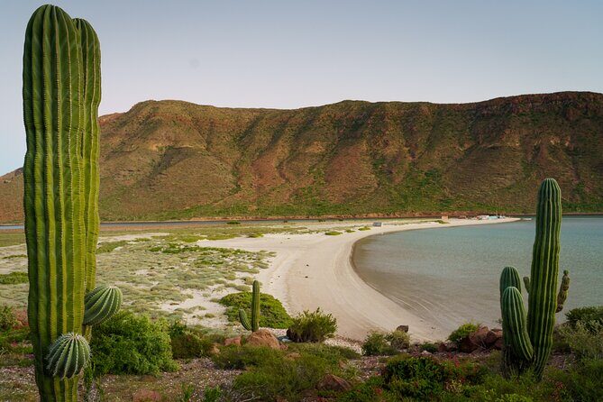 Espiritu Santo Island: Snorkel, Wildlife and Beach - The Sum Up