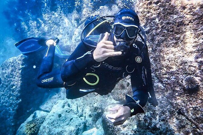 Espíritu Santo Private Scuba Tour - A Closer Look at the Espíritu Santo Private Scuba Tour