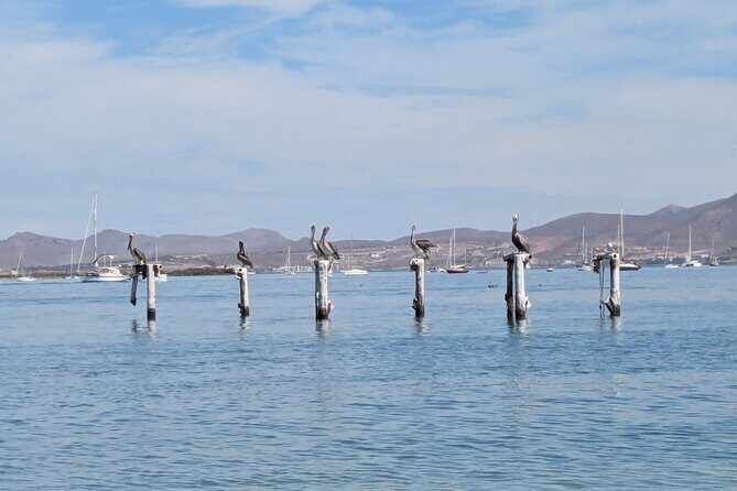 Espíritu Santo Private Scuba Tour - The Value of the Experience