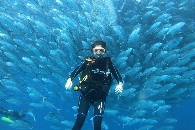 Espiritu Santo Private SCUBA Tour for Beginners - Key Points