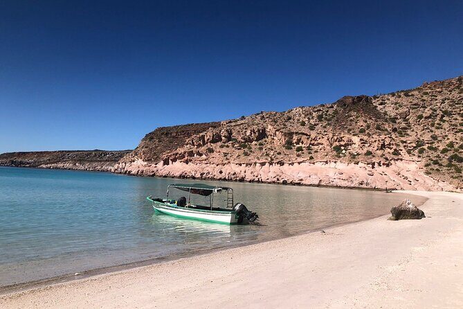 Espiritu Santo Private SCUBA Tour for Beginners - An In-Depth Look at the Experience