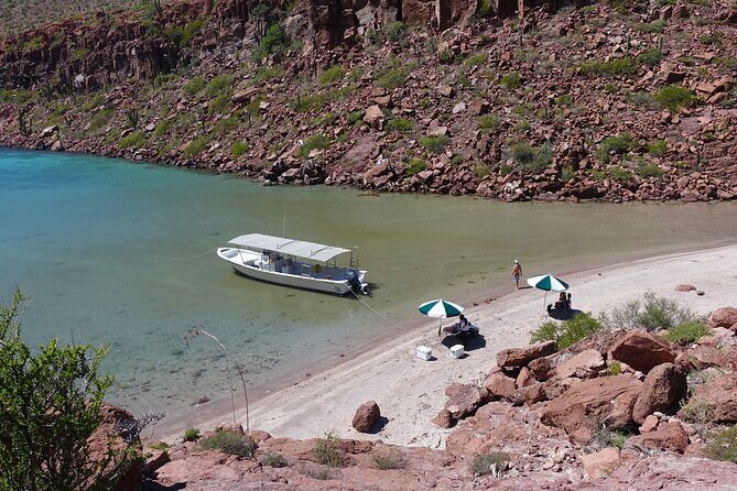 Espiritu Santo Wildlife Expedition and Snorkeling Tour (Private) - An In-Depth Look at the Tour Experience