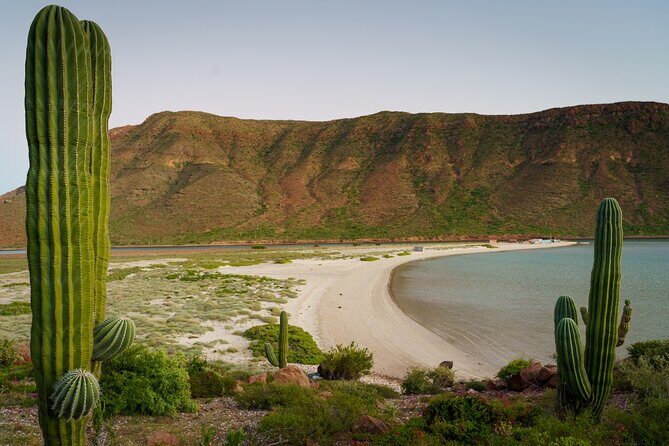 Espiritu Santo Wildlife Expedition and Snorkeling Tour (Private) - Frequently Asked Questions