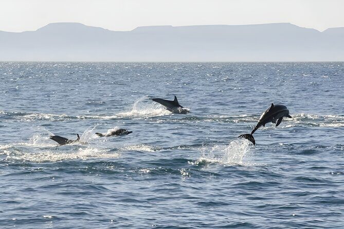 Espiritu Santo Wildlife Expedition and Snorkeling Tour (Private) - Final Thoughts