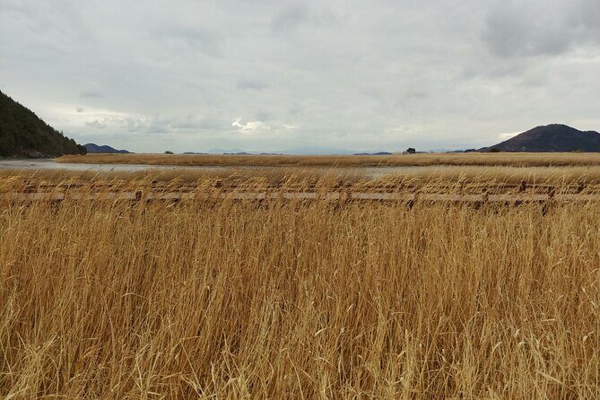 Essence Korea 3days Ptivate Tour(West/East) - Who Should Book This Tour?