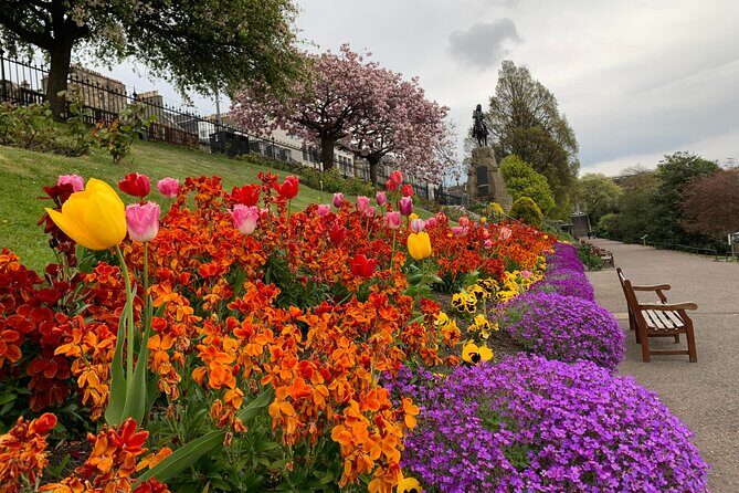 Essence of Edinburgh: Private Half Day Sightseeing Tour - Final Thoughts: Who Should Consider This Tour?