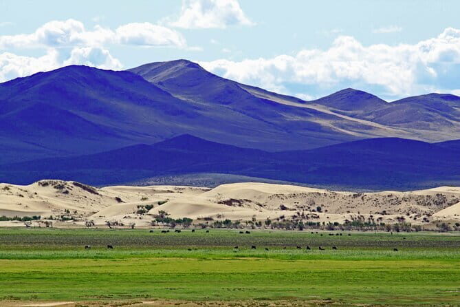 Essence of Mongolia 3 Days - Key Points