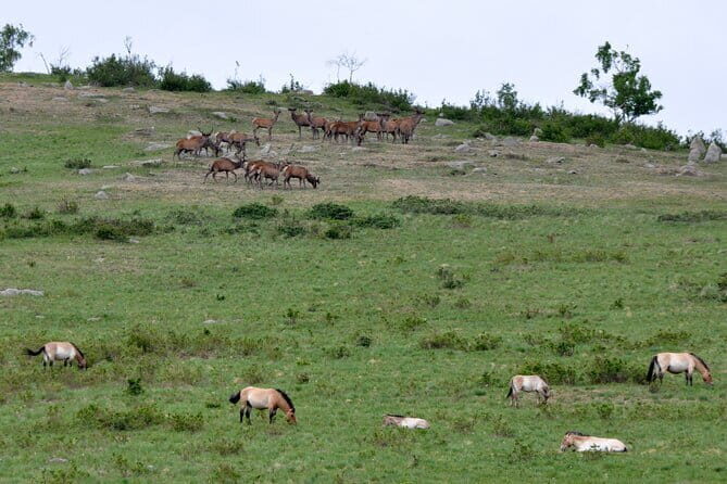 Essence of Mongolia 3 Days - In-Depth Look at the 3-Day Itinerary