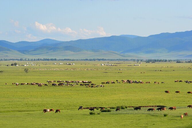 Essence of Mongolia 4 Days - Who Will Love This Tour?