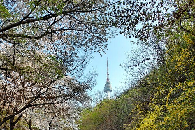 Essence of Seoul, Full Day City tour - Practicalities and Value