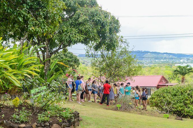 Essence of St Lucia Heritage Experience - A Detailed Look at the Experience